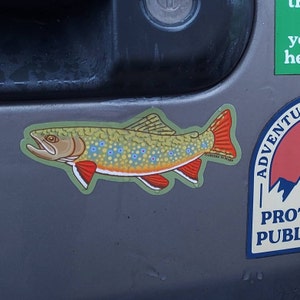 Brook Trout Pattern Flank Decal Sticker - Etsy