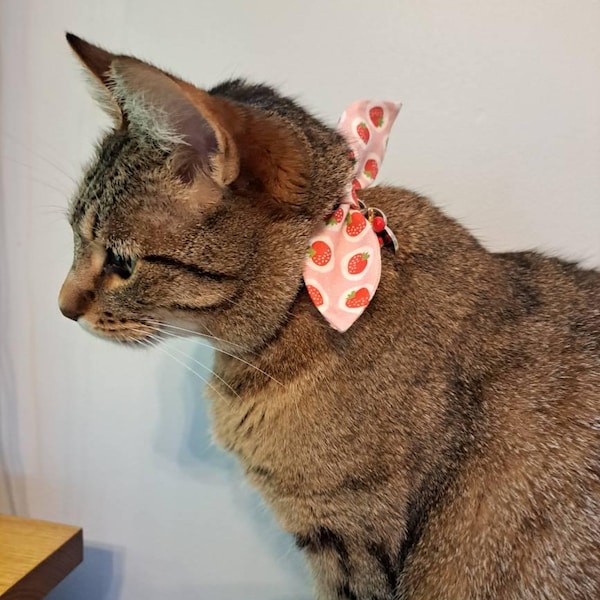 Floral Cat Collar, Shirt Cat Collar, Flowers Print Cat Collar, Styled ...