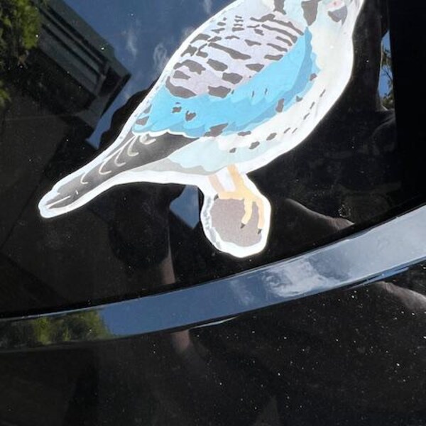 Pi Beta Phi Sticker Pack Pi Phi Sticker Pack Pi Beta Phi Ts Pi 3898