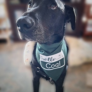 Ball-less & Flawless Dog Bandana, Funny Dog Bandana, Neuter Bandana ...