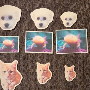 Fluff Around and Find Out Sticker, Cat Pun Sticker, FAST Shipping, FREE ...