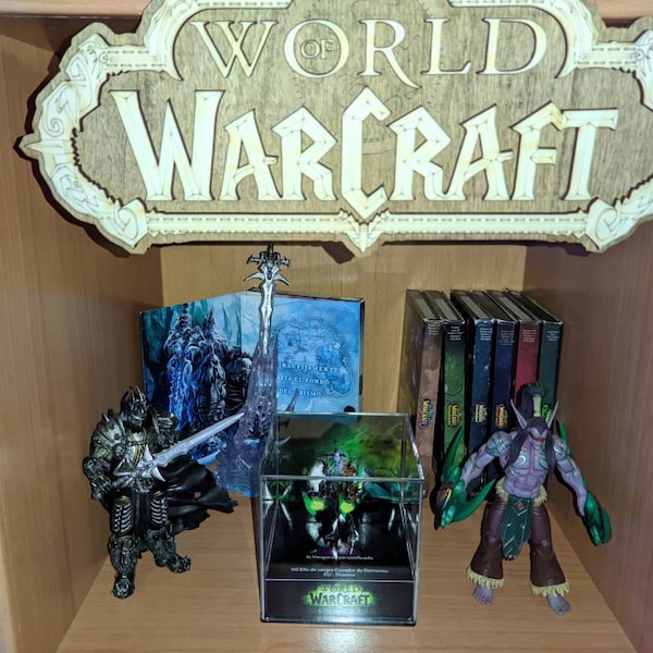 World of Warcraft Custom Character Diorama Cube – Your Wow Character ...