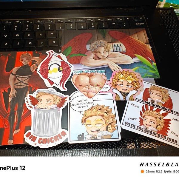 Hawks, Winged Hero Inspired Meme Stickers - Etsy