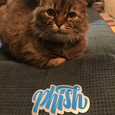 Phish Donut Pizza Sticker - Etsy