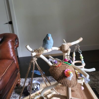 17x6cm Colorful Acrylic Parrot Window Bird Wooden Perch Stickers Stand ...