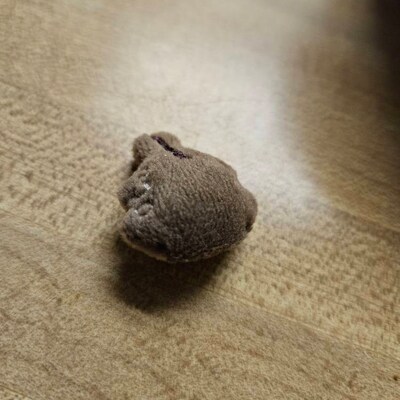 Mini Squishy Bear Mochi Minky Nugget Plush Light Brown - Etsy