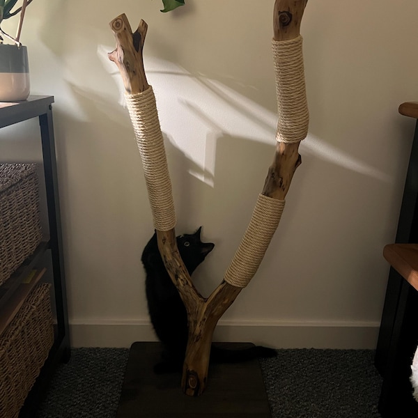 Unique Scratching Post, Cat Climbing Tree With Toys, Solid Wood ...