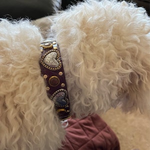 Personalized Dog Collar, Designer Dog Collar, Fancy Dog Collar - Etsy