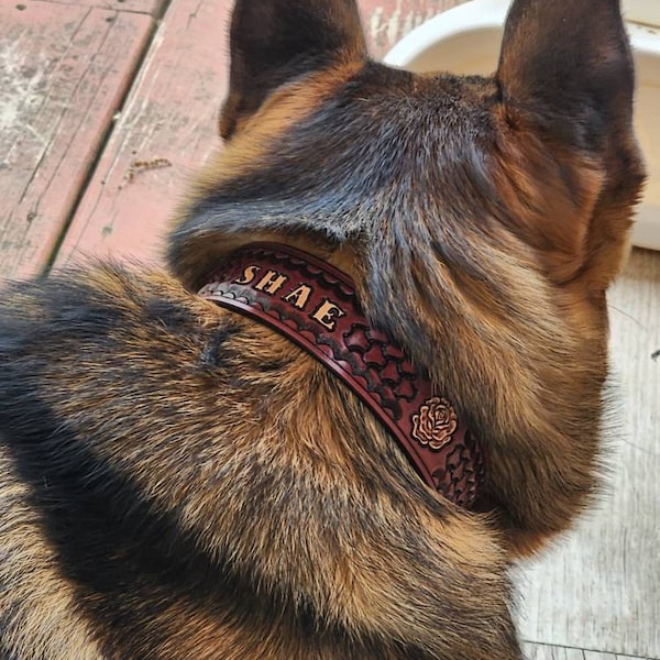 PERSONALIZED LEATHER COLLAR // Collar With Name // Personalised Leather ...