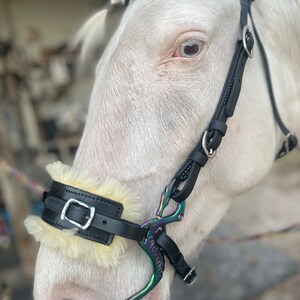 Rainbow Multi Color DRAGON Hackamore Bitless Horse Bit English - Etsy