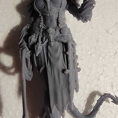 Griffon With Paladin Fighter Knight Rider 28mm and 32mm Scale Griffon ...