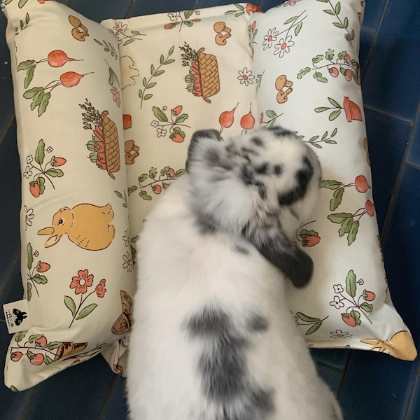 Zipped Spring Garden Bunny Rabbit Lounger Pillow Bed/ Cool Bed/ Rabbit ...
