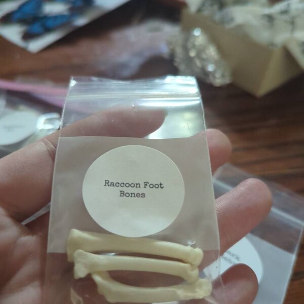 Bone Casting & Collecting Mystery Box Osteomancy Bone Divination Bones ...