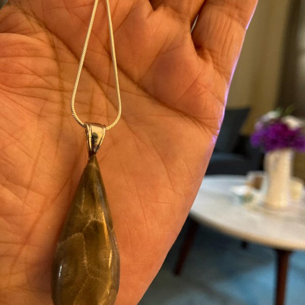 Rare 9.2oz Extinct Chain Coral Fossil halysites From Lake Michigan 425 ...