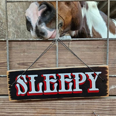 Hand Painted Tack Room Sign. Hand Painted Wood Sign. Tack Room. Barn ...