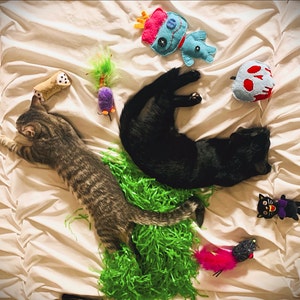 Catnip Cannoli Cat Toy - Etsy