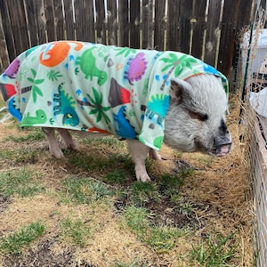 Mini Pig Double Blizzard Fleece Coats With a Flip up Collar to Protect ...