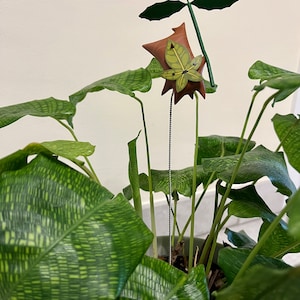 Korok Plant Pot Decoration Botw/totk - Etsy
