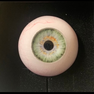 Complete Round Realistic Human Eyeball Available in 6 Different Colors ...