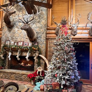 Pheasant Feather Deer Antler Tree Topper - Etsy