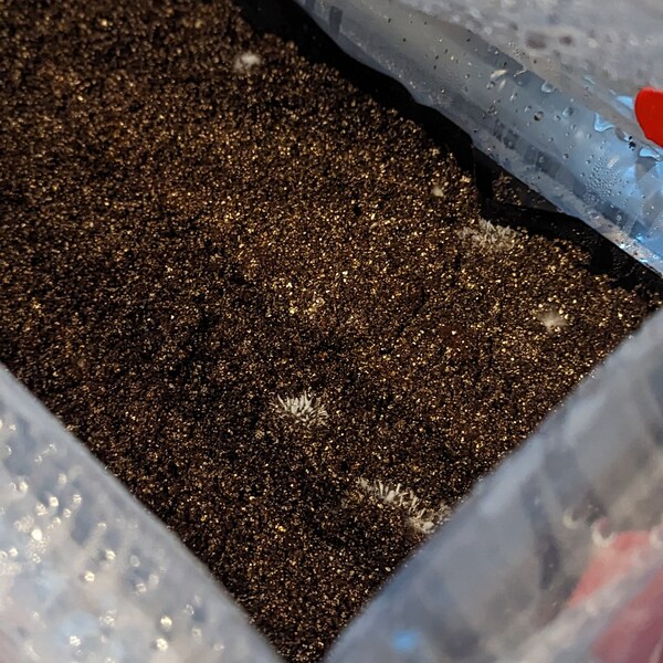 Dry Bulk Substrate (coco Coir, Vermiculite , Gypsum) - Etsy