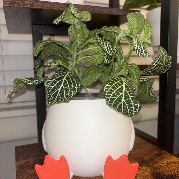 GANSAL Slat Planter Pot 4, 5, 6, 7 Wide Clear Pot With Drainage ...