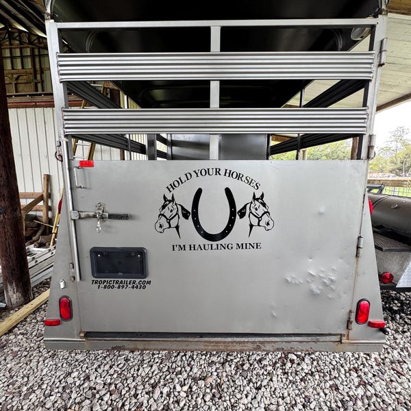 Livestock Trailer Decal, Cows, Large Decal, Cows Were Out - Etsy