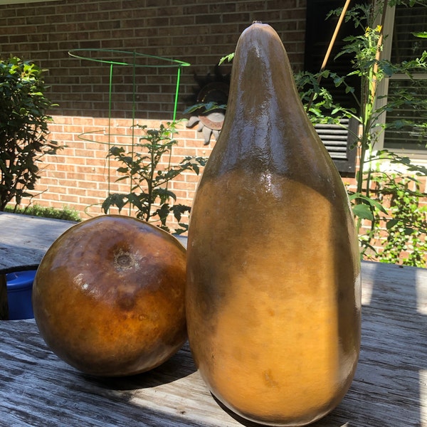 Green Beaded Gourd Shekere Instrument, Latin Agbe Instrument, Rhythm ...