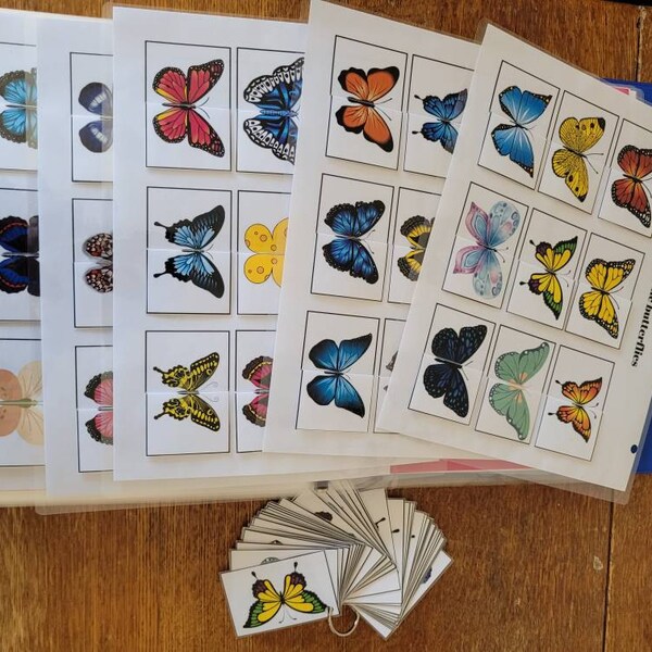 Number Find and Cover Worksheet Toddler Printable Activity. Perfect for ...