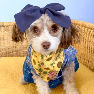 Concha Dog Squeaky Toy Concha Toy Mexican Sweet Bread Toy | Etsy