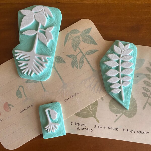 The Life Cycle of a Bean Plant Rubber Stamps Set, Educational Art ...