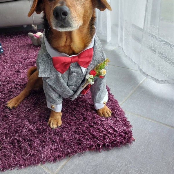 Dog Tuxedo, Dog Suit, Wedding Dog Tuxedo, Dog Wedding Attire, Gray Dog ...