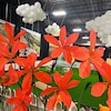 Large Paper Flower, Giant Flower, Giant Red Rose, Wife Red Rose ...