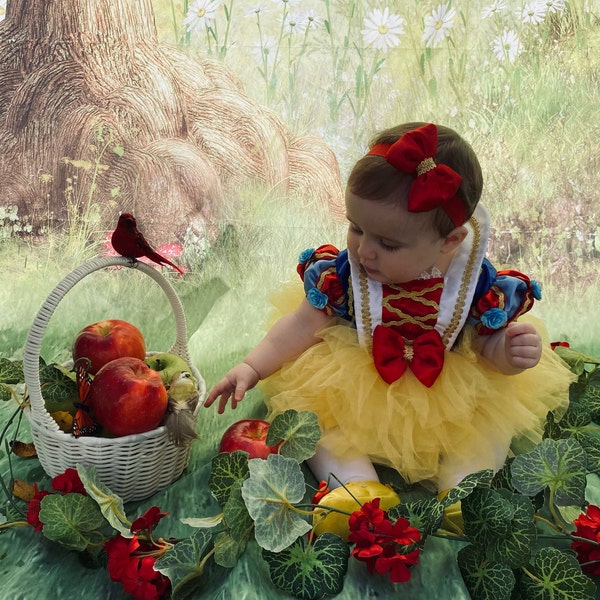 Princess Dress for Baby & Toddler - Toddler Tutu Dress - Girl Princess ...