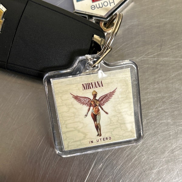 Foo Fighters the Colour and the Shape CD Album Cover Keychain - Etsy