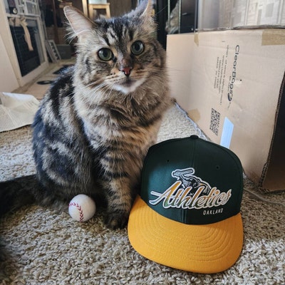 Bright Bumble Bee Garland Gold Yellows White Felt Ball Honey Bee Banner ...