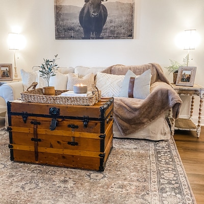 Angus Cattle Wall Art Black Angus Cow Pictures Portrait Art Ranch Wall ...