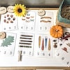 Count and Clip BUNDLE 2 Clothespin Number Cards Nature Homeschool ...