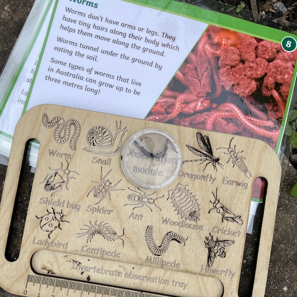 Portable Insect Bug Box Collection Box Parent-child Outdoor Forest ...