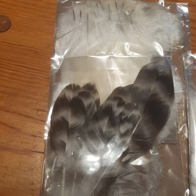 50 Mini Feathers 1-4 Cm Quail Feathers Colorful Rooster - Etsy