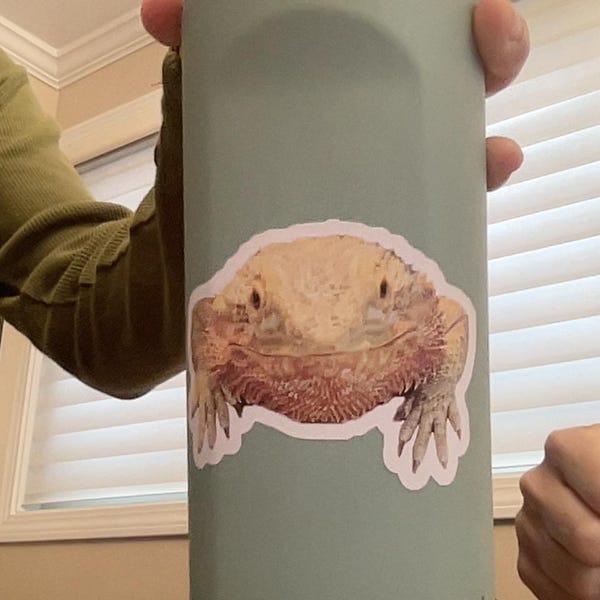 Transformers Decepticons Stickers | Soundwave & Shockwave - Etsy