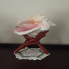 Bahamian Queen Conch Shell I Pink Conch Shell SLIT BACK I Large ...