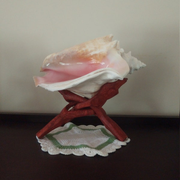 Bahamian Queen Conch Shell I Pink Conch Shell SLIT BACK I Large ...