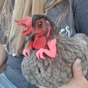 3D Printed Chicken Arms Velociraptor T-rex Dinosaur Arms - Etsy