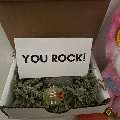 Rock Buddy BOY, Gag Gift, Rock Buddies, Funny Gift, Rock Pet, Anonymous ...