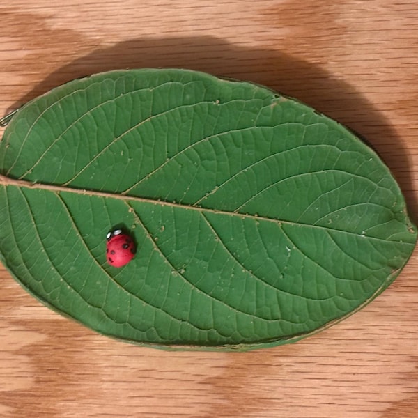 Big Leaf Wallet , Rubber , Gift Birthday, Gift Anniversary , Christmas ...