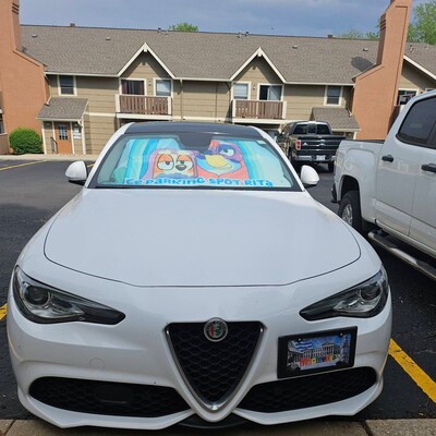Bluey Auto Sunshade Car, Cartoon Car Sunshade, Bluey Car Sunshade ...