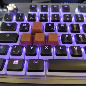 Handmade SA Profile Backlit Key Cap Hidden Fairyland Wood & Resin ...