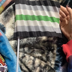 DIGITAL FILE: Printable Extended Pride Flag Reference Guide Includes ...