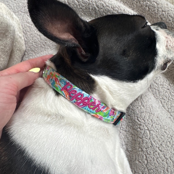 Summer Collar, Beach Dog Collar, Dog Collar, Summer Dog Collar, Palm ...